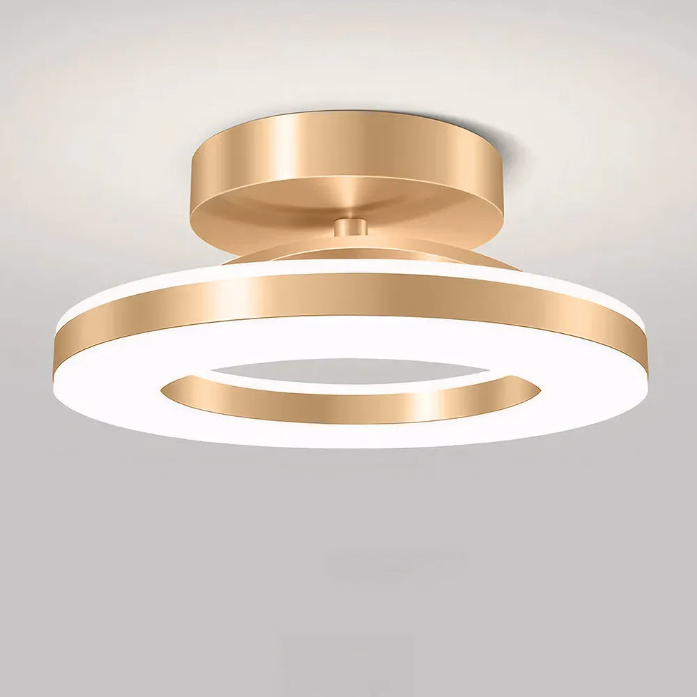 Lightcollects Home Modern Simple Ring Iron LED Hallway Ceiling Light ...